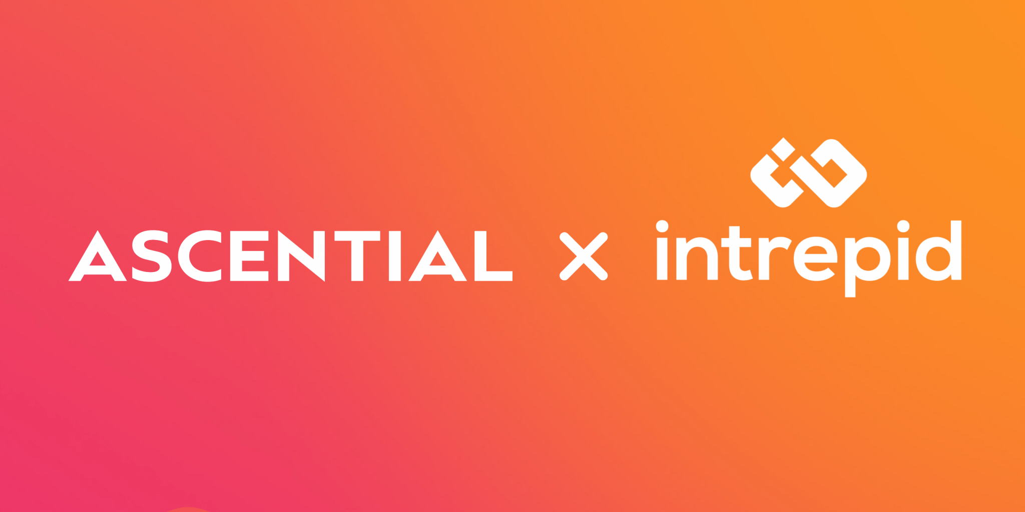 Intrepid – Seize the full potential of ecommerce – We are a team of ...